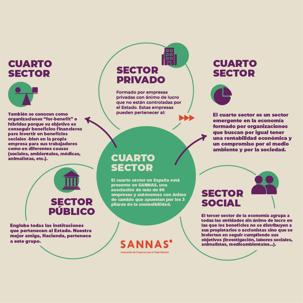¿Qué es el 4º sector? | Hecho Company